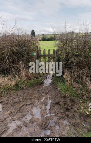 Waterlogged soil after continual heavy rain bars easy access across a ...