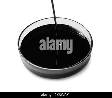petri dish with petroleum, fuel oil, isolated white background Stock ...