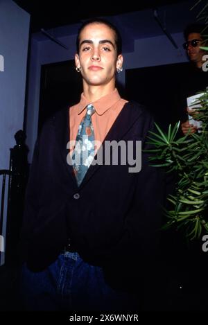 Taj Johnson Circa 1990's Credit: Ralph Dominguez/MediaPunch Stock Photo ...