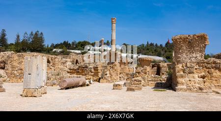 Baths of Carthage with remains of stone walls and Corinthian columns ...