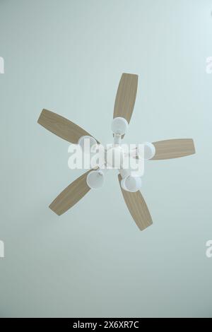 Modern ceiling fan with lamps, bottom view Stock Photo - Alamy