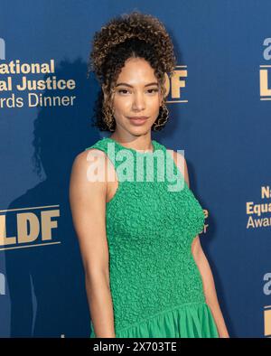 Sidney Madden attends 36th National Equal Justice Awards Dinner by LDF ...