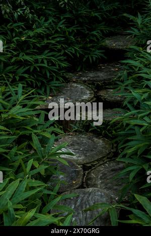 Aesthetic Tree Stump Stock Photo - Alamy