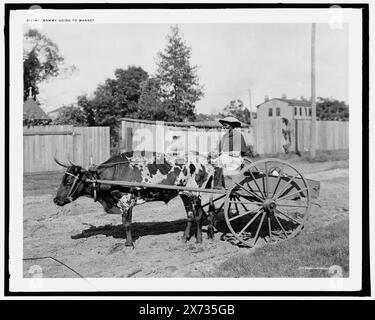 Mammy going to market Stock Photo - Alamy