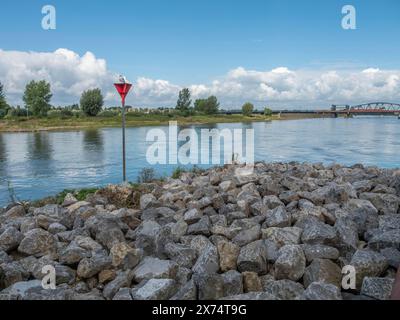 The stone formation and trees under cloudy sky in Bryce Canyon National ...