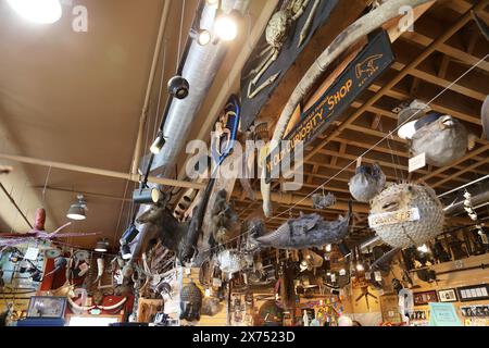 Washington State, Seattle, Waterfront, Ye Olde Curiosity Shop Stock ...