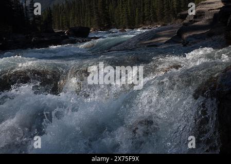 Mistaya river at the head of Mistaya canyon just aside Icefield's ...