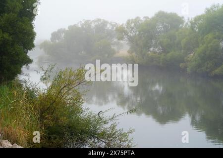 Foggy morning on Mersey River at Latrobe, Tasmania Stock Photo - Alamy