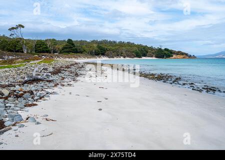Rutherford Beach, Maria Island, Tasmania Stock Photo - Alamy