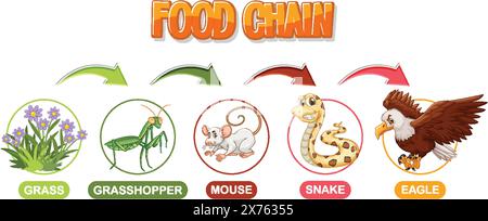 Depicts a simple food chain sequence Stock Vector Image & Art - Alamy