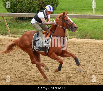 May 17, 2024 - Pimlico Racetrack, Baltimore, Baltimore City, Maryland ...