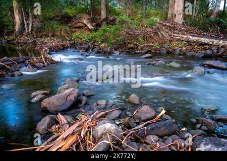 Water flowing over stoney riverbed of the Russel River, Tasmania Stock ...