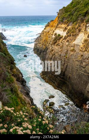 Narrow chasm in sea cliffs eroded by powerful ocean swells, Maingon Bay ...