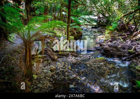 Philosopher Falls in Waratah - Tasmania Stock Photo - Alamy