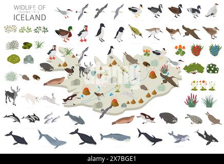 Isometric design of Iceland wildlife. Animals, birds and plants ...