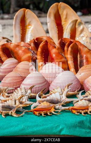 Tanzania, Zanzibar, Nungwi on the North coast Stock Photo - Alamy