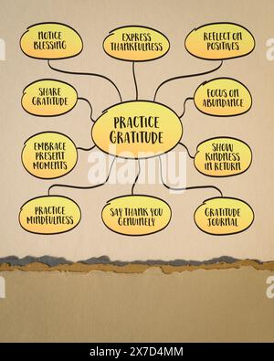 practice gratitude, importance of acknowledging and appreciating the ...