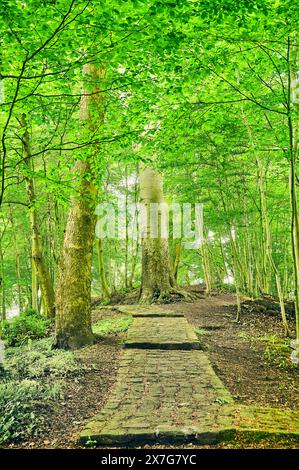 Avenham Park, Preston Stock Photo - Alamy