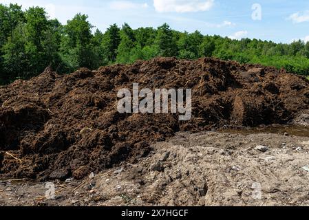 Digging out peat from marshy swamps, visible mountains made of peat ...