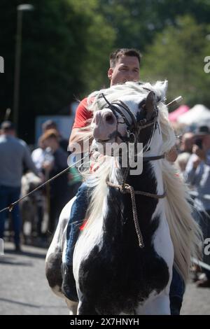 Wickham Horse Fair 2024 Stock Photo - Alamy
