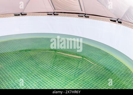 Emptying used water from a garden swimming pool using a home water pump ...