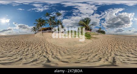 360° view of Tropical beach with palm trees - Alamy