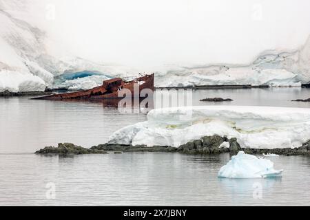 Wreck of the whaling ship Guvernoren, Wilhelmina Bay, Antarctic ...