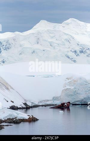 Wreck of the whaling ship Guvernoren, Wilhelmina Bay, Antarctic ...