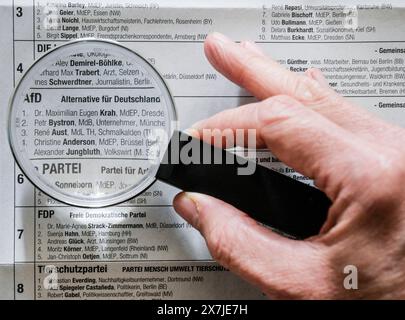 Afd, candidates Maximilian Krah and Petr Bystron, ballot paper, ballot ...