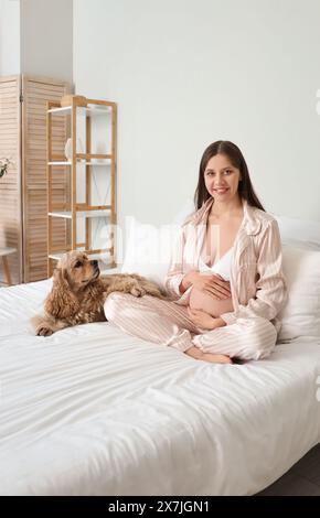 Young pregnant woman with cute cocker spaniel sitting in bedroom Stock ...