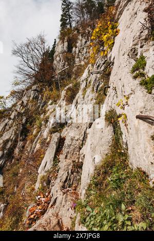 Metal rungs drilled into a cliff face create a ladder on a hiking trail ...