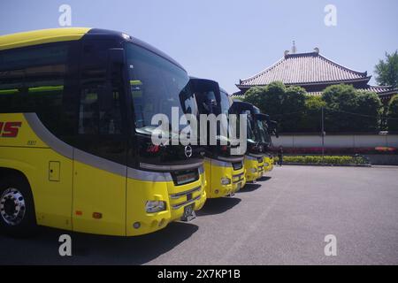 Hato Buses Parked in Asakusa, Tokyo, Japan Stock Photo - Alamy