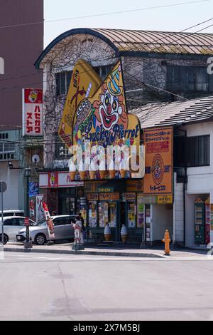 HAKODATE, HOKKAIDO, JAPAN - MAY 1, 2024: Hakodate city from Mount ...