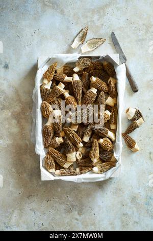 Black morels in a market box on a gray wooden background Stock Photo ...