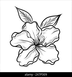Rhododendron flower outlines. Botanical line art. Vector Azalea flowers ...