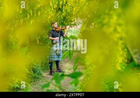 The Patrick Matthew violin is played by actor and musician Thoren ...