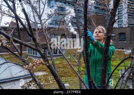 Saskia, urban agriculture coordinator for the Urban Space property ...