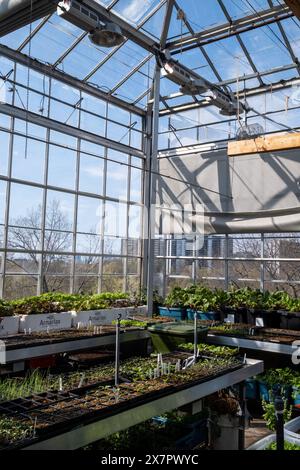 Green salads in the Flemo Farm association's shared garden in a ...
