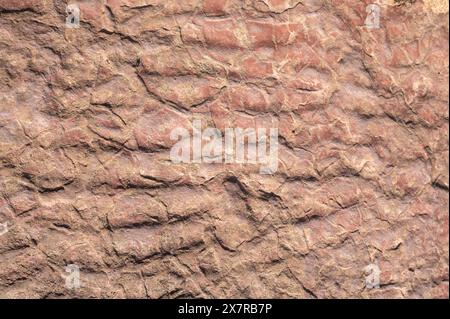 Water ripple marks in rocks on western side of Corn Du Stock Photo - Alamy