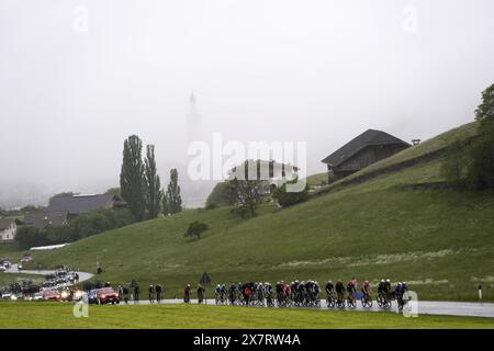The pack rides cycles during Stage 7 of the Giro Next Gen 2026, from ...