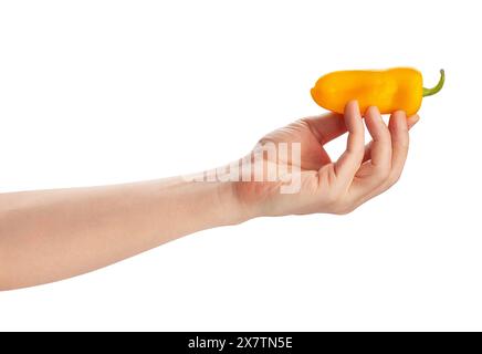 A hand is holding a yellow bell pepper above the garden while green ...