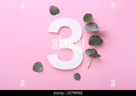 Paper number 2 and eucalyptus leaves on pink background, flat lay Stock ...