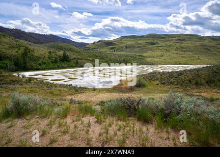 Desert Landscape near Osoyoos, BC, South Okanagan Valley, British ...