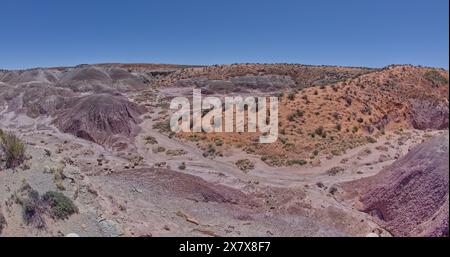 Purple badlands above Hamilili Wash in Petrified Forest National Park ...