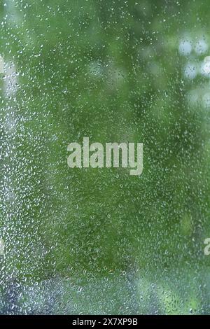 Trees through a rain soaked window Stock Photo - Alamy