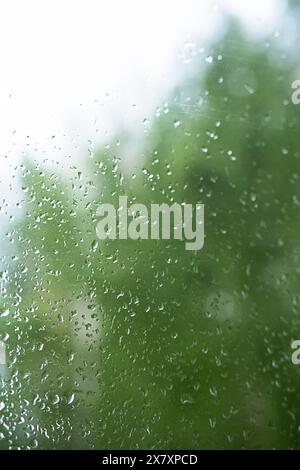 Trees through a rain soaked window Stock Photo - Alamy