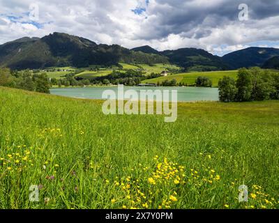 Putterersee, moorland lake near Aigen im Ennstal, Styria, Austria ...