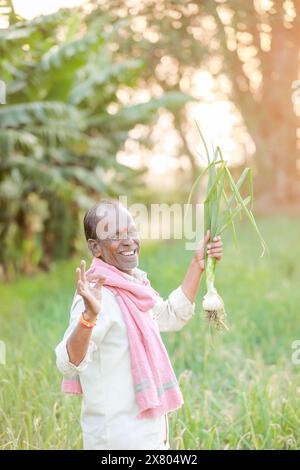 Indian farmer holding onion plant in onion farm Stock Photo - Alamy