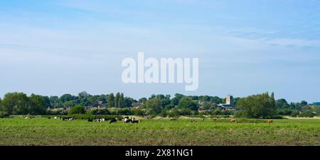 Rural view over fields to Washingborough, Lincoln, Lincolnshire ...