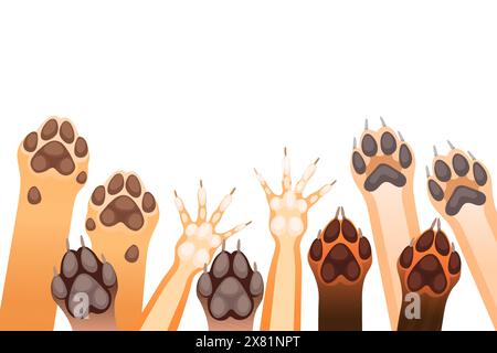 Animal paws in a row fox wolf and dog vector illustration isolated on ...